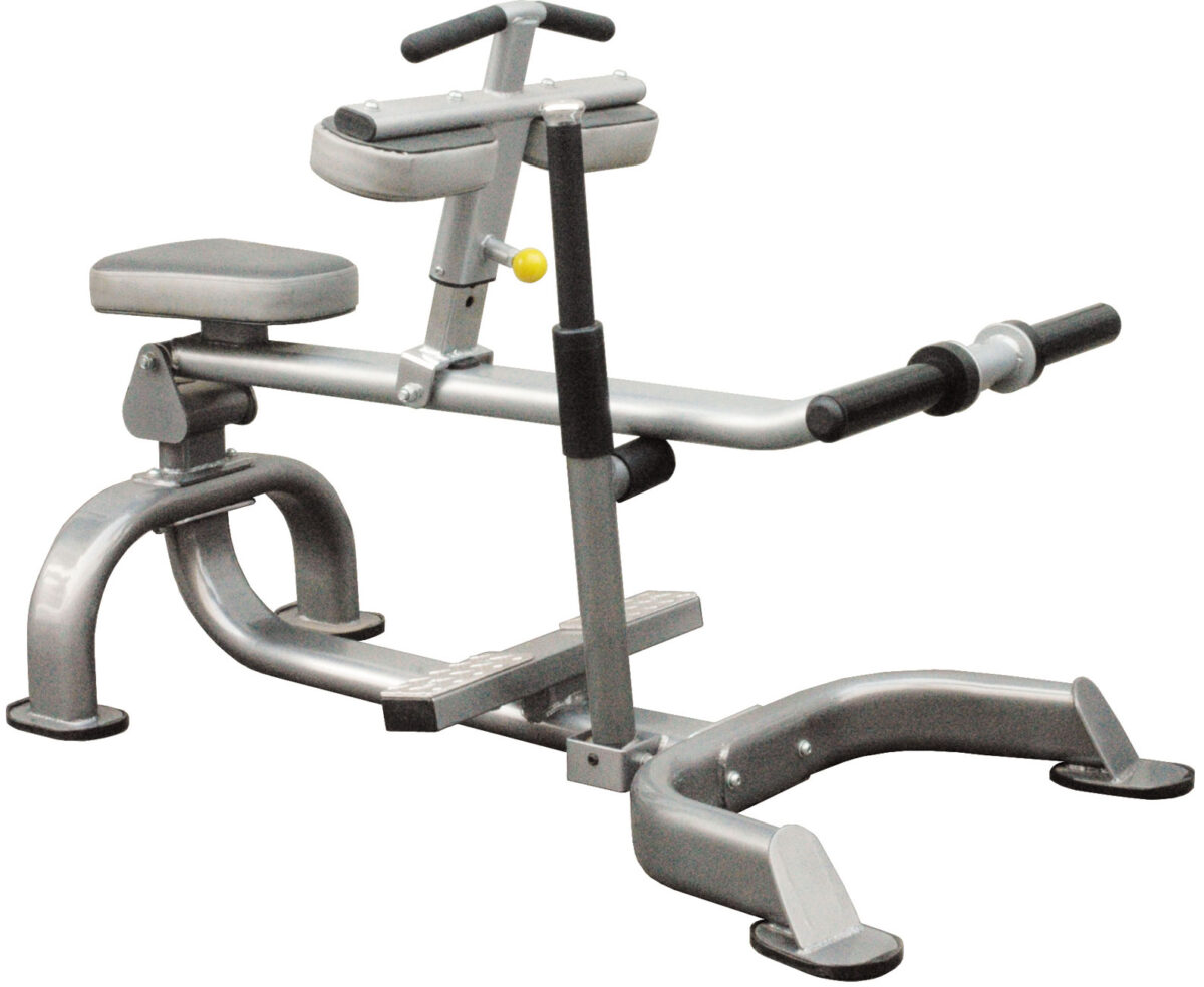 Leg Press Inclinata Impulse IFP1711 (Hack Squat)