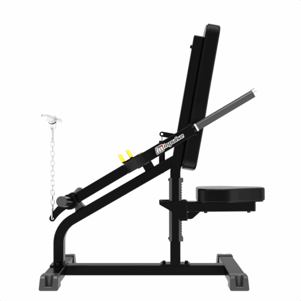Blue Gym- Il negozio online di attrezzature Fitness e Palestra ...